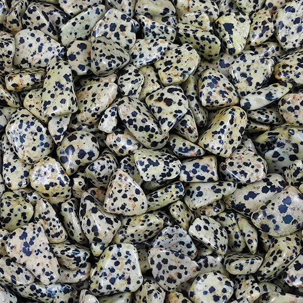 Dalmatian Stone Meaning, Properties & Grounding Benefits – Sage Spirits